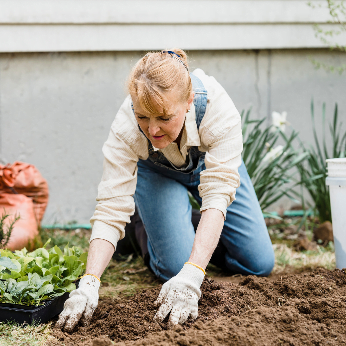 Spring Stride: A Gardener's Guide to Planting Without Low Back and Knee ...